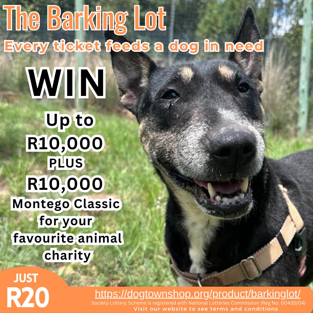 The Barking Lot Ticket – dogtownshop.org